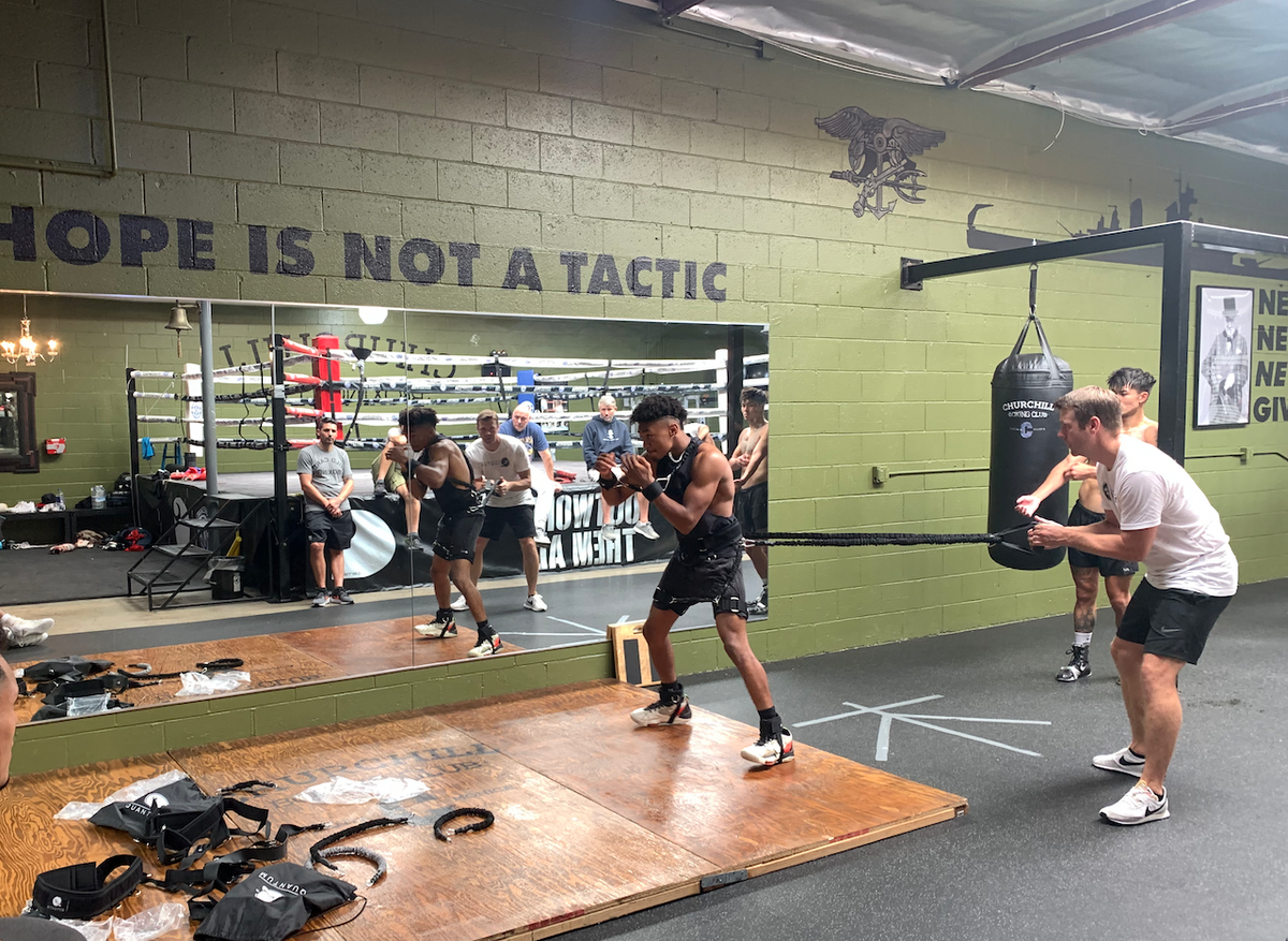 Quantum Pro Bands | Quantum Performance